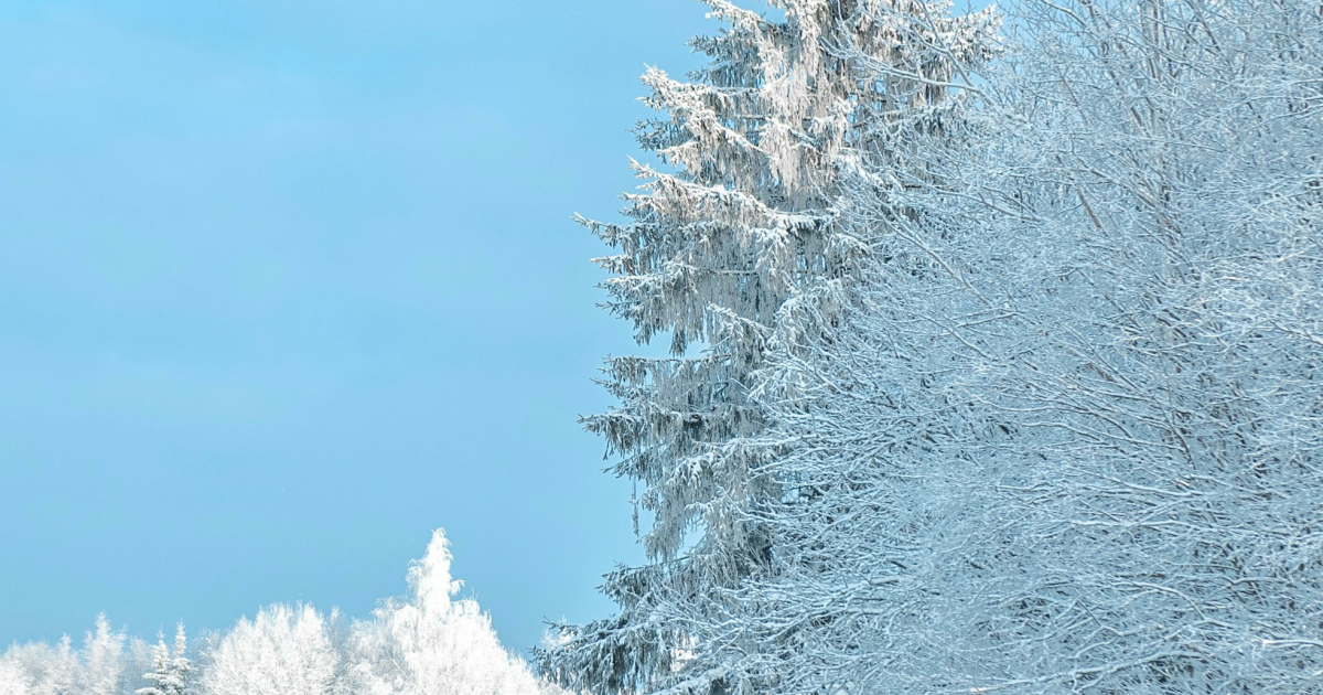 Cold Weather Advisory: Stay Prepared and Informed