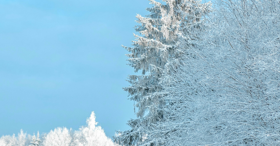 Cold Weather Advisory: Stay Prepared and Informed