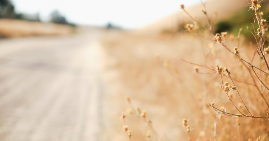 Excessive Heat Watch Alert Information