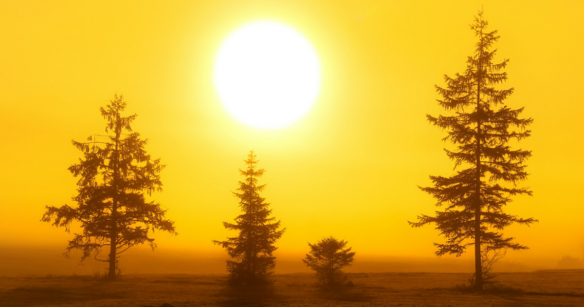 Extreme Heat Warning