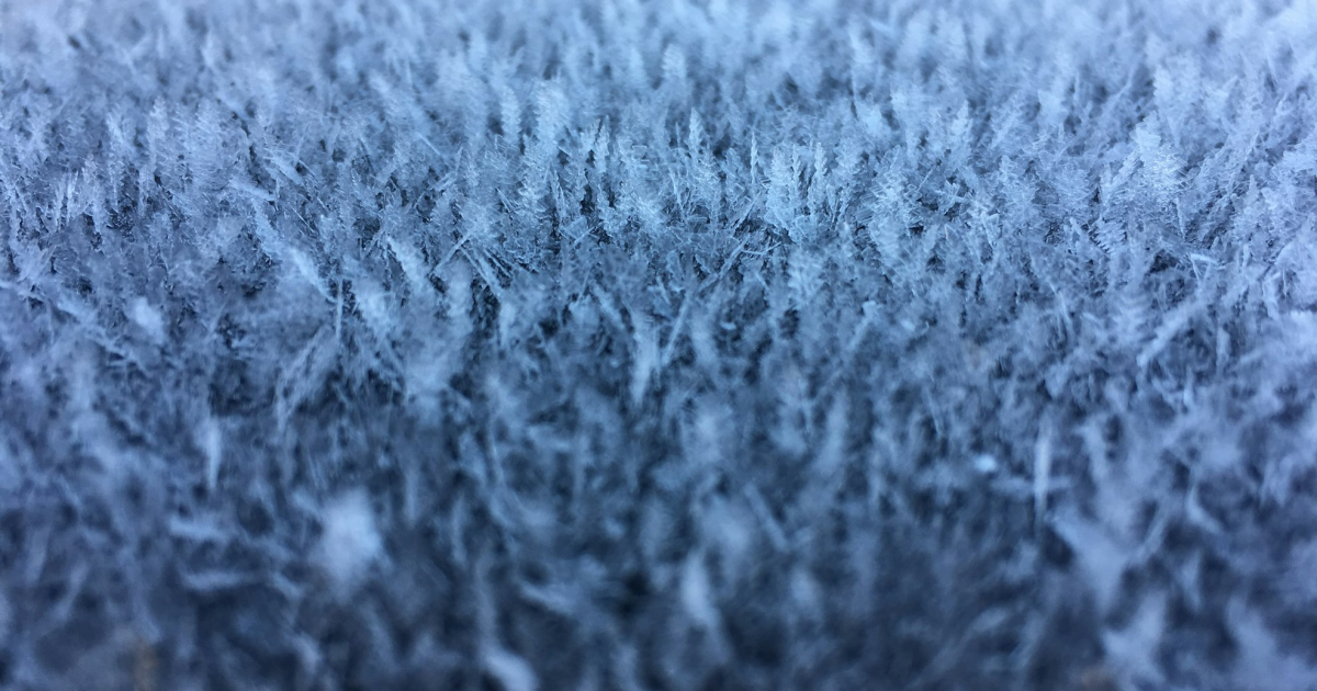 Frost Advisory: Prepare and Protect