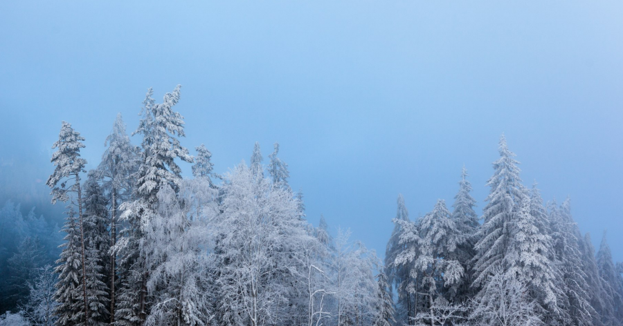 Heavy Freezing Spray Watch Alert