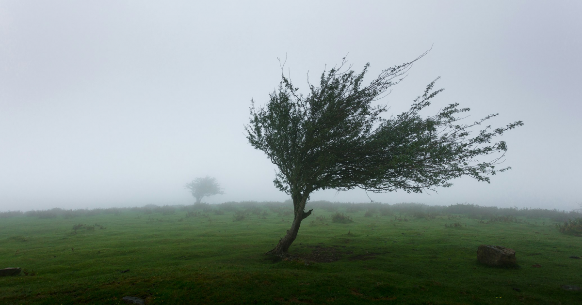 High Wind Watch Alert