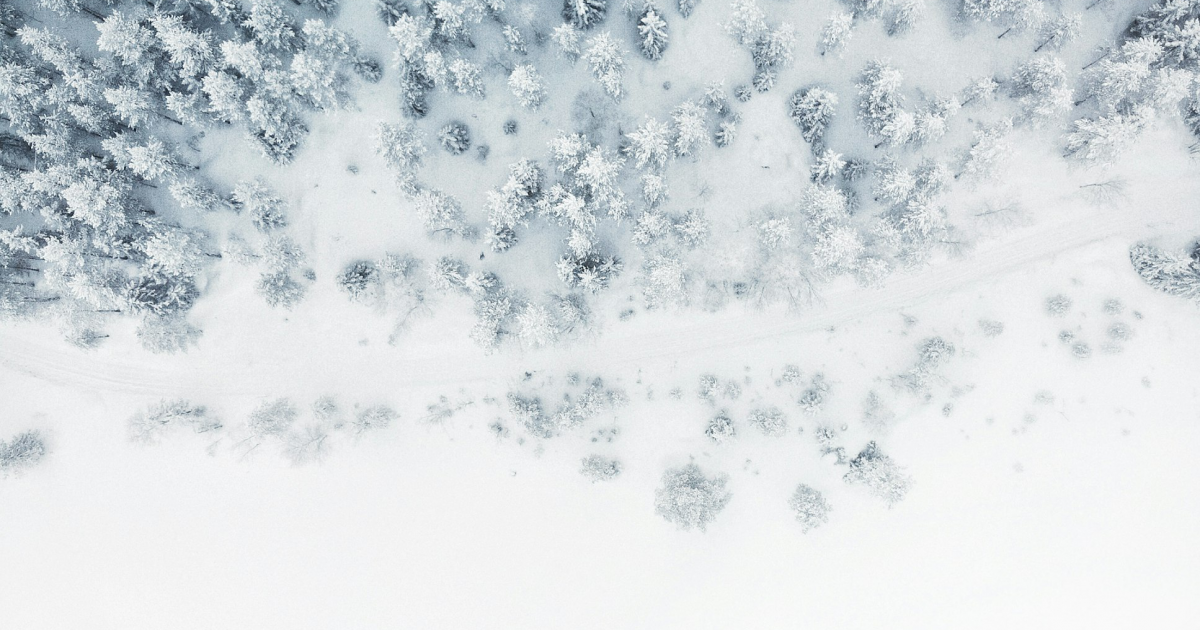 Snow Squall Warning: What You Need to Know