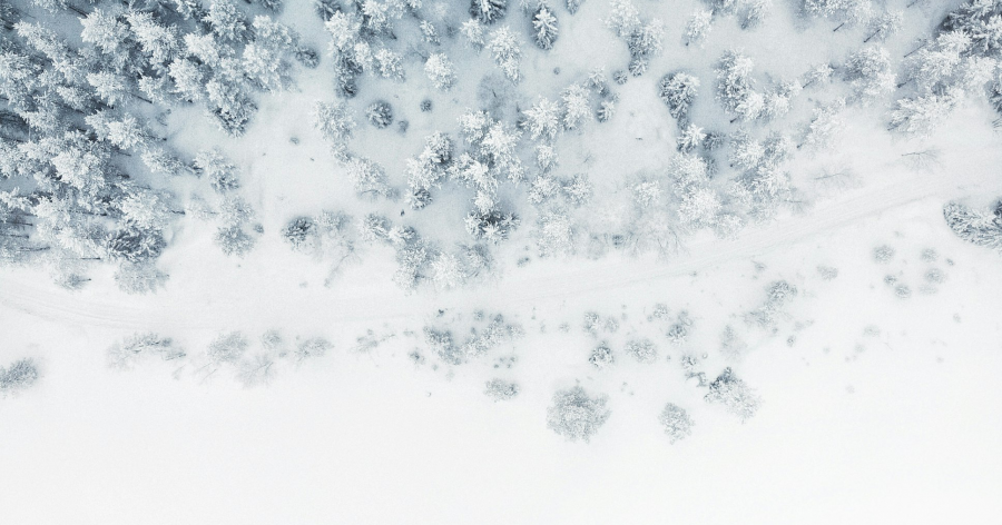 Snow Squall Warning: What You Need to Know